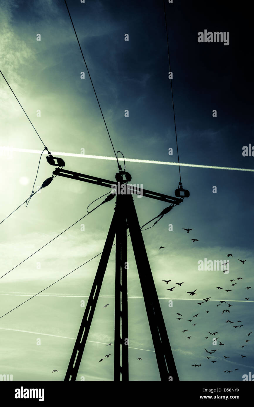 Flock Of Birds Flying around Electric Mast Stock Photo - Alamy
