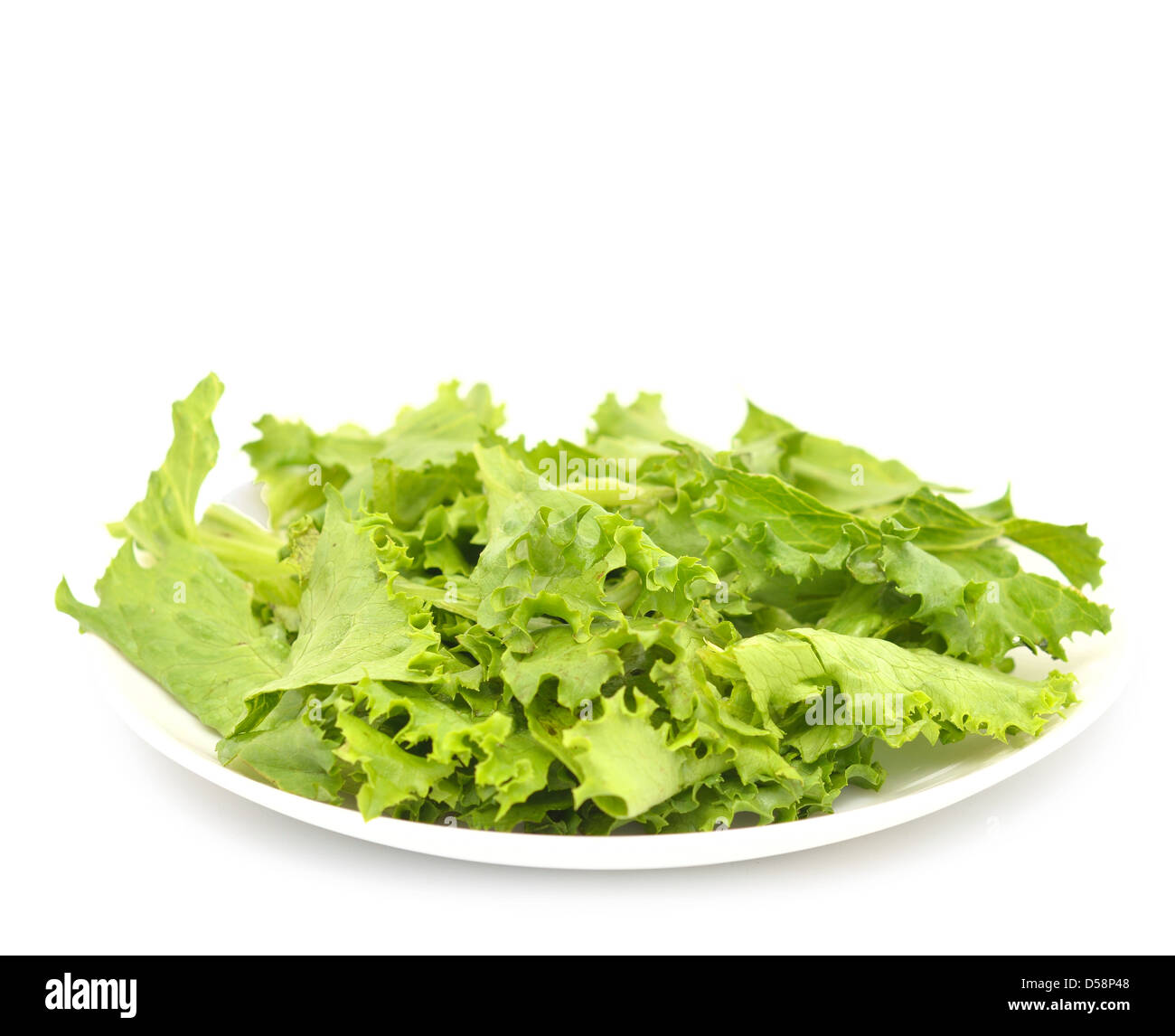Wet lettuce salad hi-res stock photography and images - Alamy