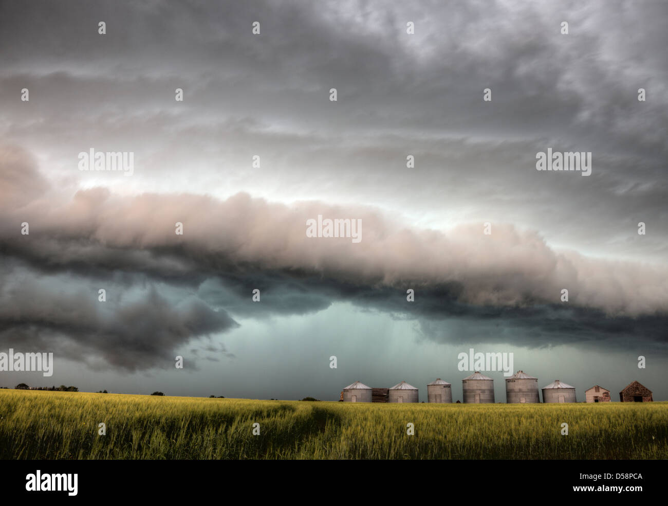 Storm Clouds Saskatchewan over planted wheat fields Stock Photo - Alamy Storm Clouds Saskatchewan over planted wheat fields Stock Photo - Alamy