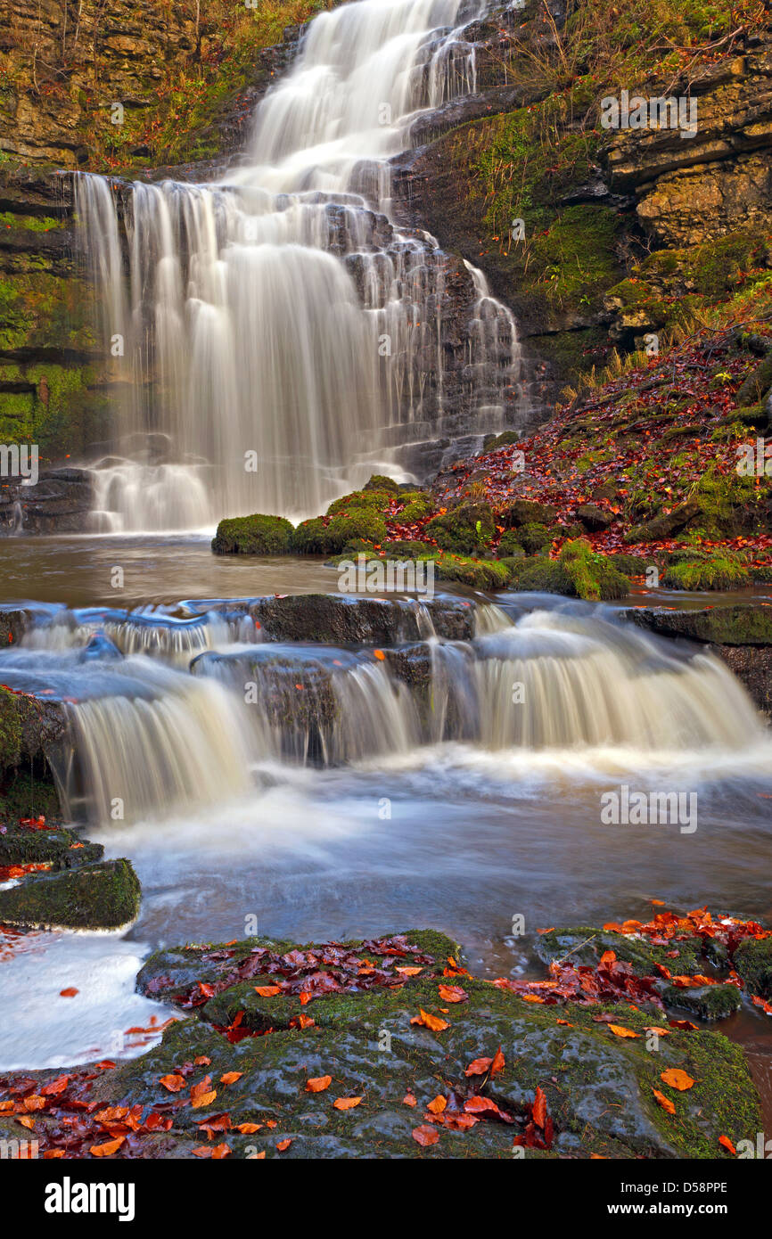 Scalebar Force waterfall in the Yorkshire Dales Stock Photo - Alamy