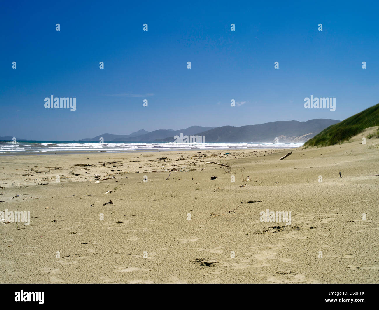 Rakiura island hi-res stock photography and images - Alamy
