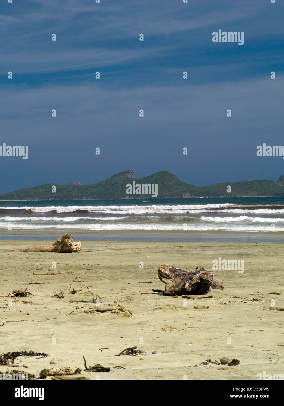 View of the beach at Mason Bay, Stewart Island (Rakiura), New Zealand ...