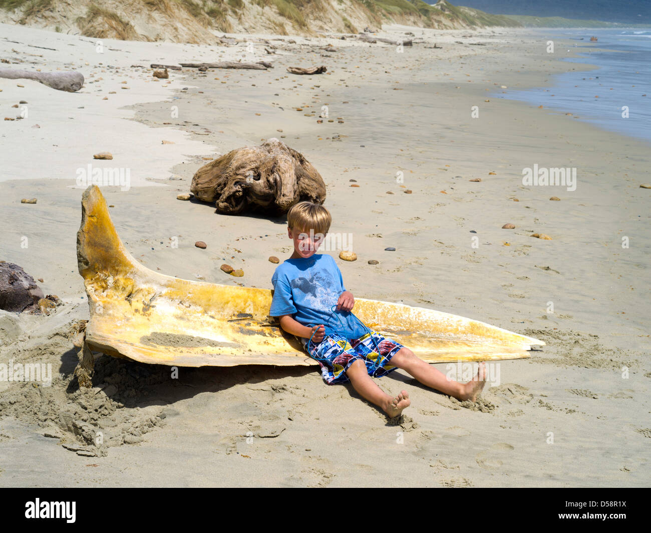 Decaying Skull High Resolution Stock Photography and Images - Alamy