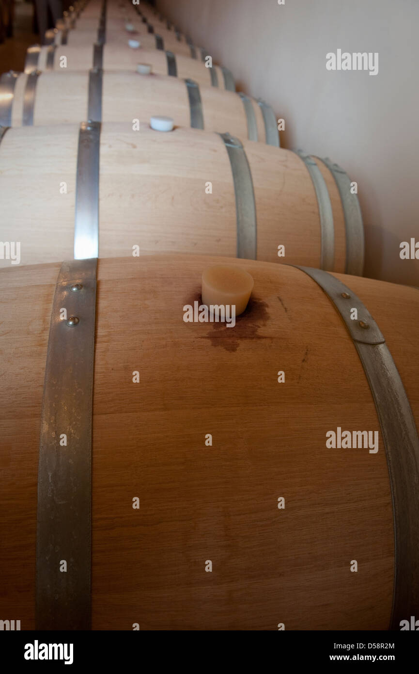 Wine barrels, Bordeaux Stock Photo - Alamy