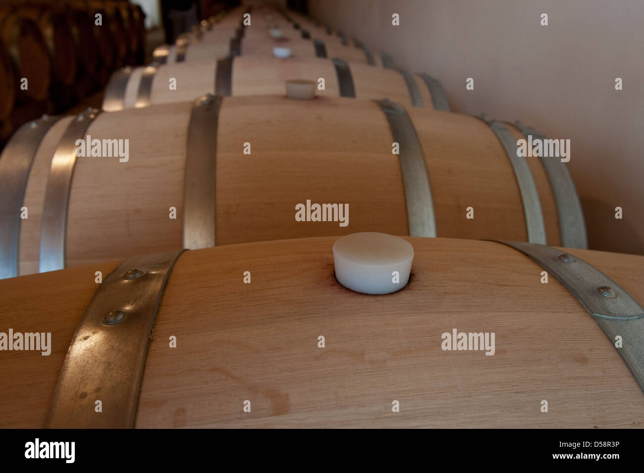 Wine barrels, Bordeaux Stock Photo - Alamy