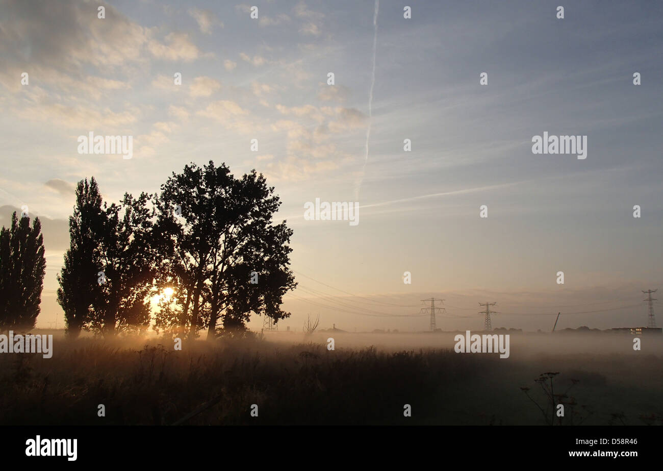 An image shot in the early morning. Beautiful light. Dawn. Dew ...