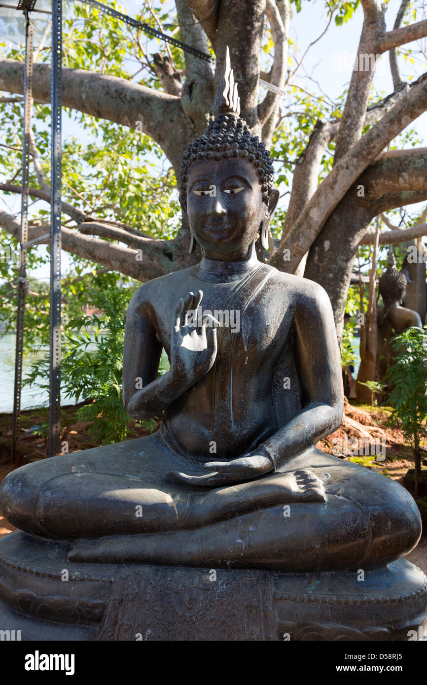 Buddha meditating under bodhi tree hi-res stock photography and images ...