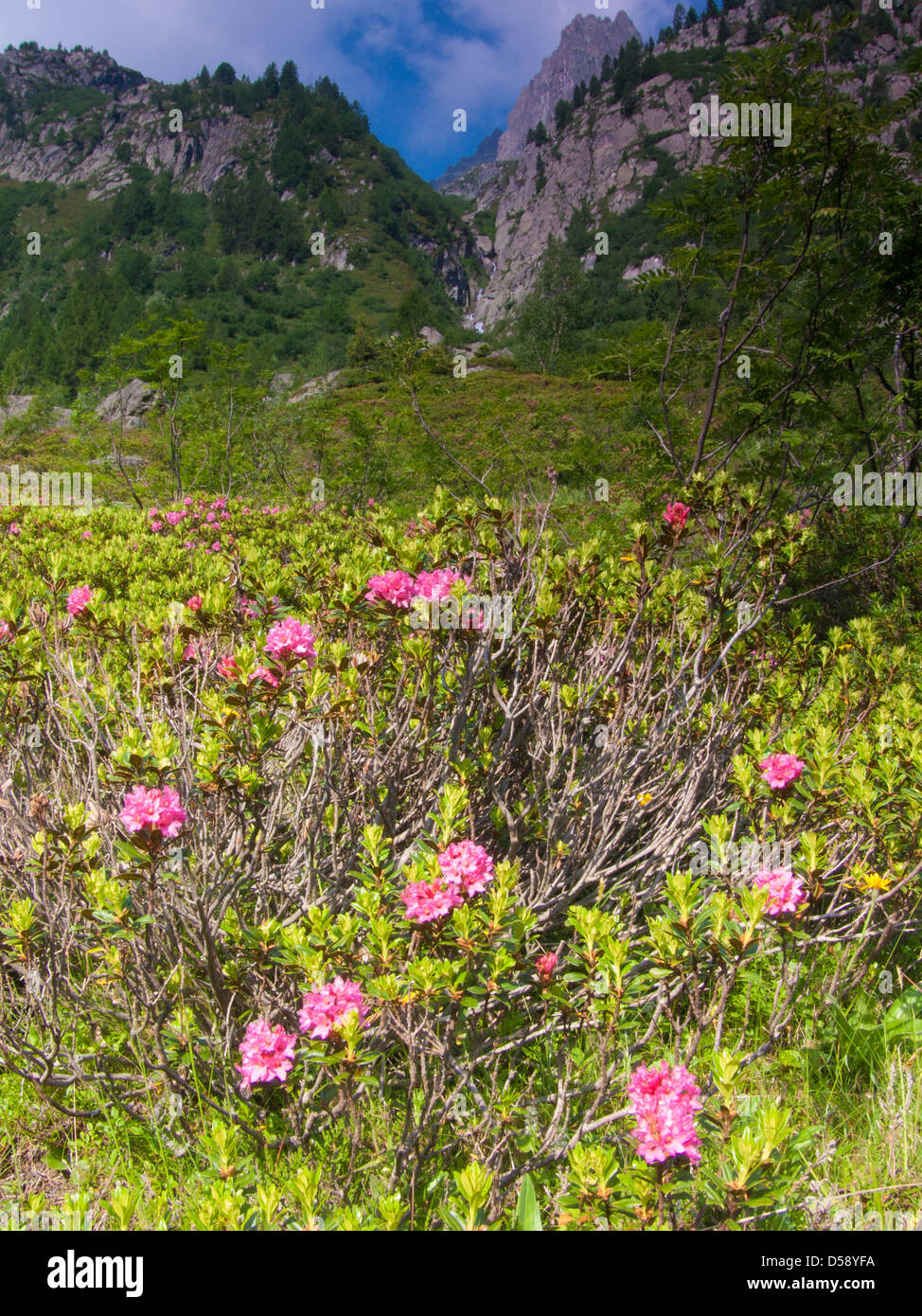 col des montets,chamonix,haute savoie,france Stock Photo - Alamy