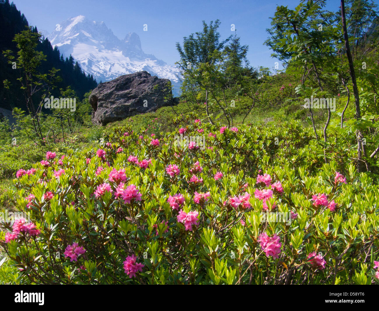 col des montets,chamonix,haute savoie,france Stock Photo - Alamy
