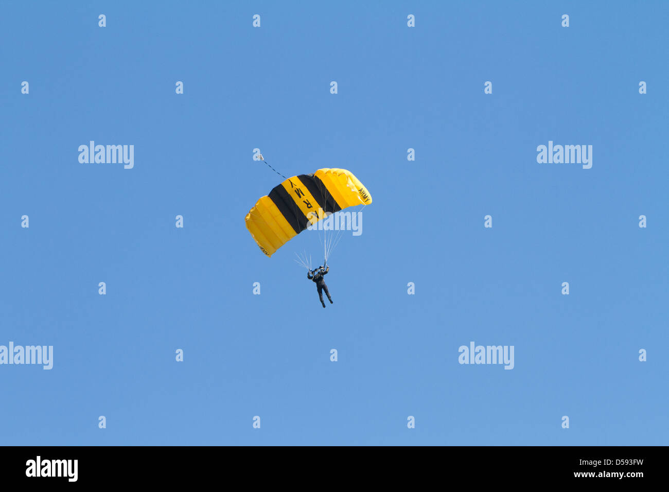 Us Army Golden Knights Parachute team Stock Photo - Alamy
