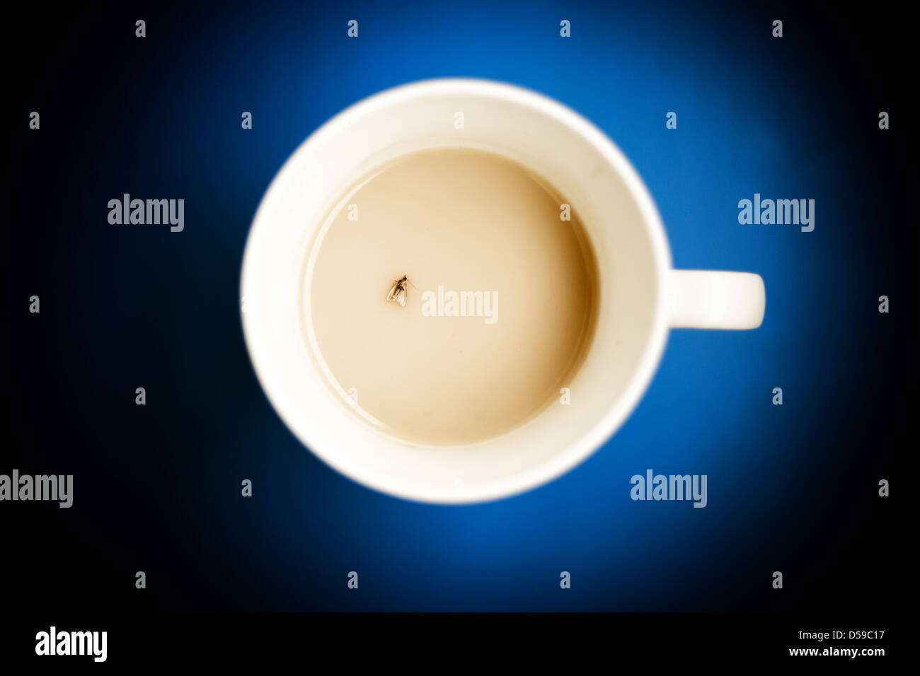 Fly in cup of tea Stock Photo - Alamy