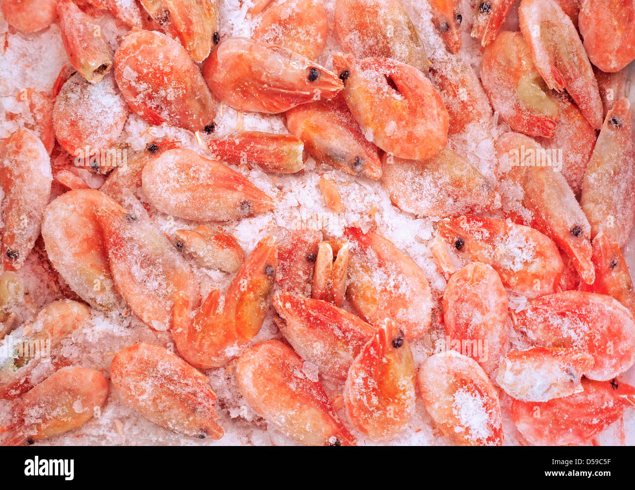 Frozen seafood delicacies hi-res stock photography and images - Alamy