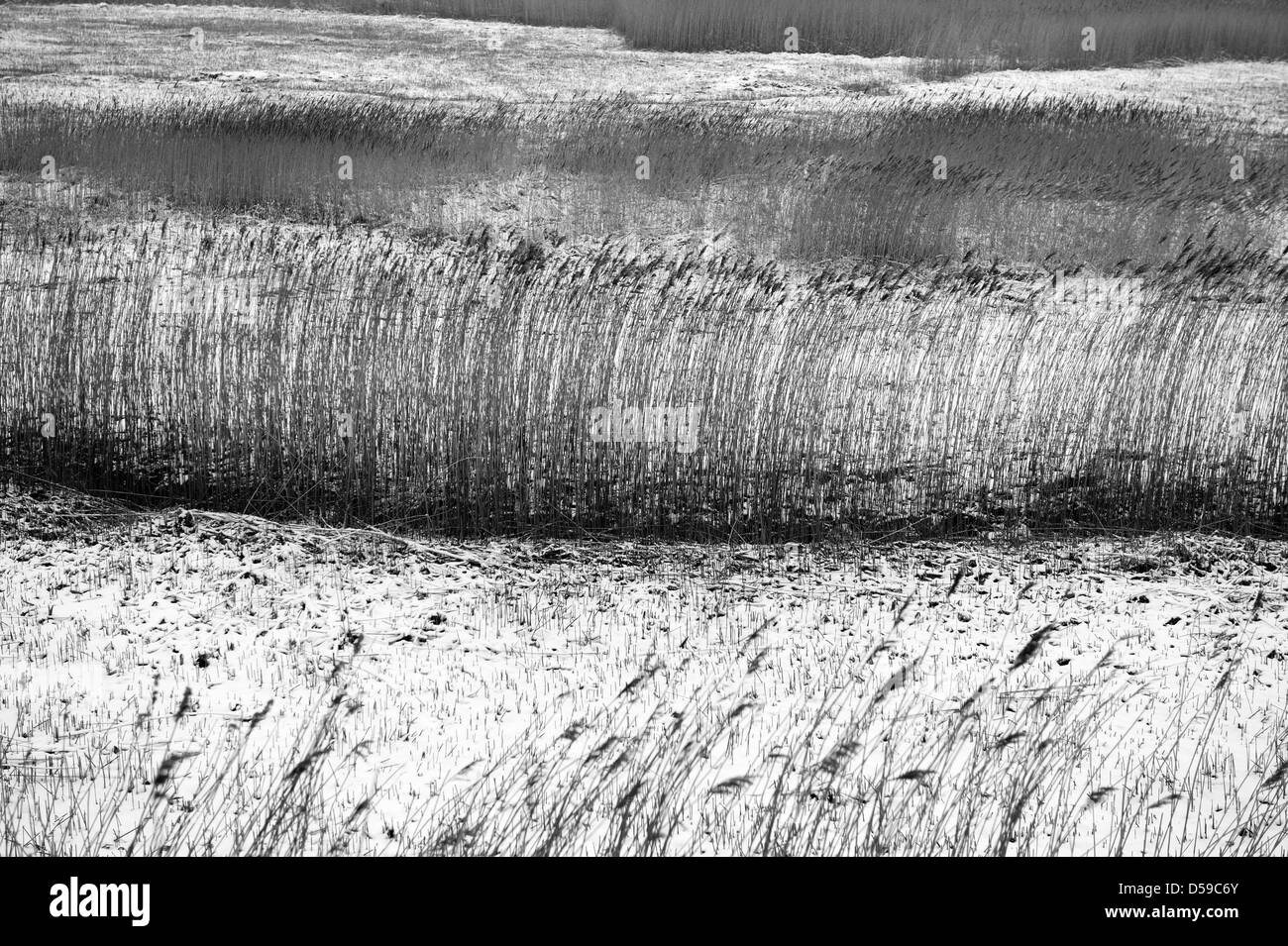 March next Black and White Stock Photos & Images - Alamy