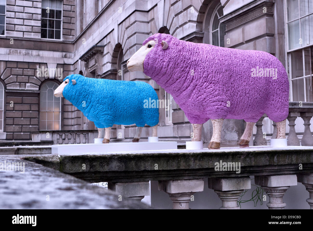 Coloured sheep hi-res stock photography and images - Alamy