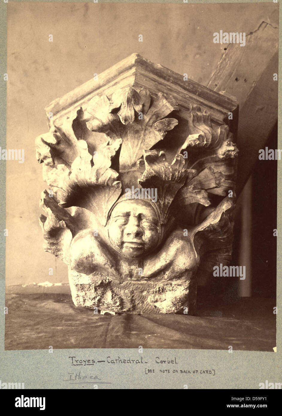 A sculpted corbel from Troyes Cathedral, featuring intricate acanthus ...