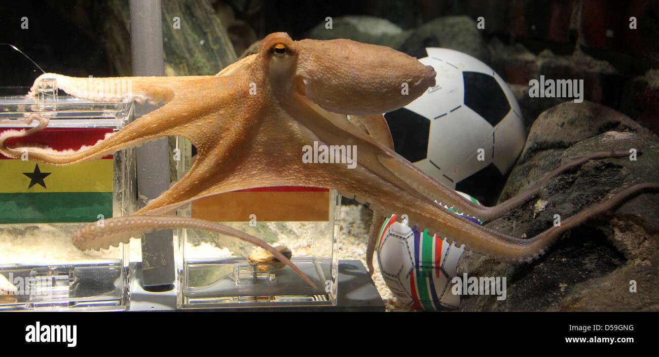 Ghana nationalmannschaft hi-res stock photography and images - Alamy