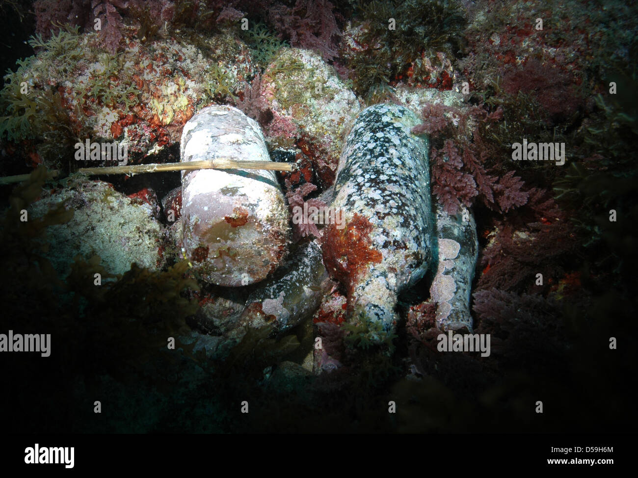 Shipwreck bottles hi-res stock photography and images - Alamy