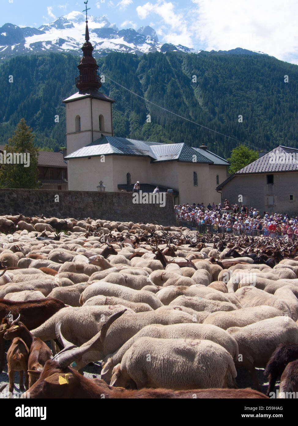 Transhumance in the alps hi-res stock photography and images - Alamy
