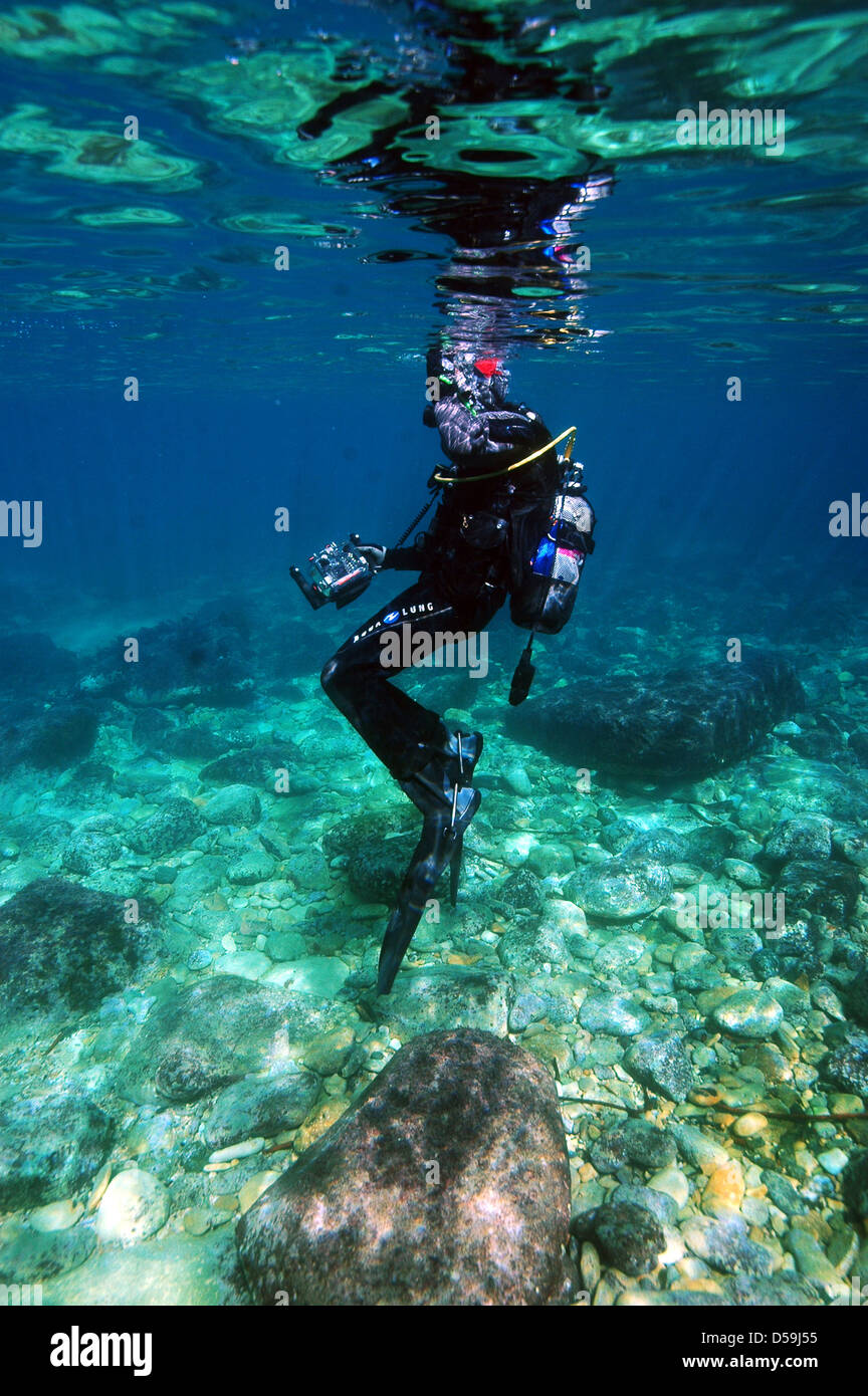 Scuba diver exploring tropical reef hi-res stock photography and images ...