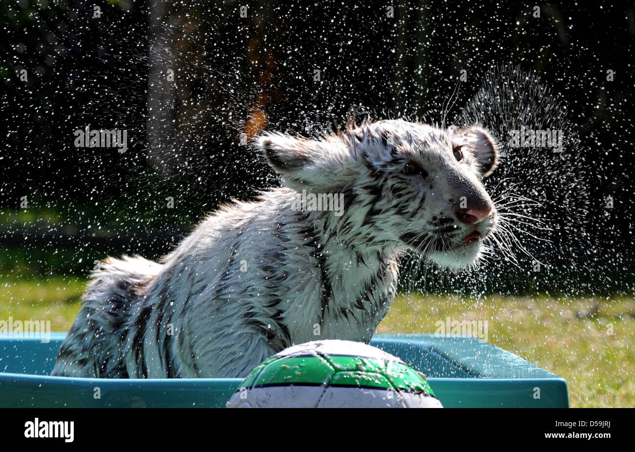 Plays pleasant hi-res stock photography and images - Alamy