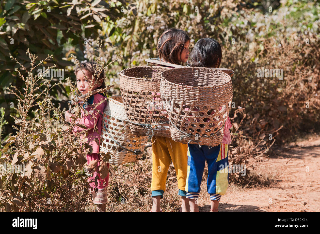 Akha girls and their bamboo baskets, Muang Singh, Laos Stock Photo - Alamy