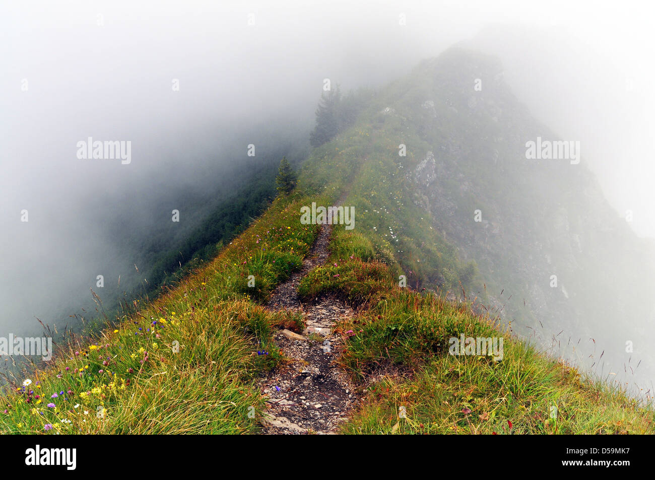 High Mountain Path, shrouded in mist in the Swiss Alps, Villars Stock ...