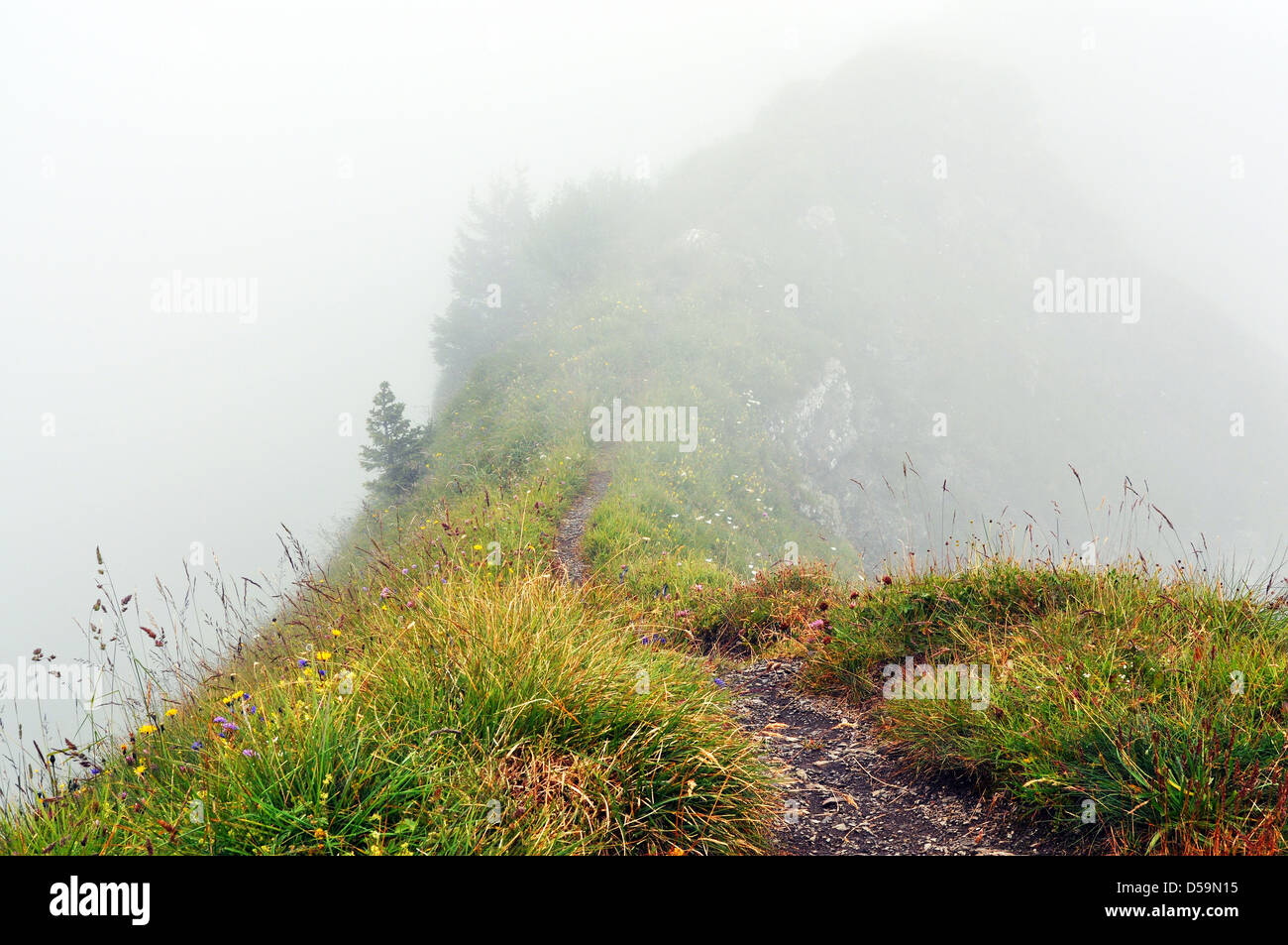 High Mountain Path, shrouded in mist in the Swiss Alps, Villars Stock ...