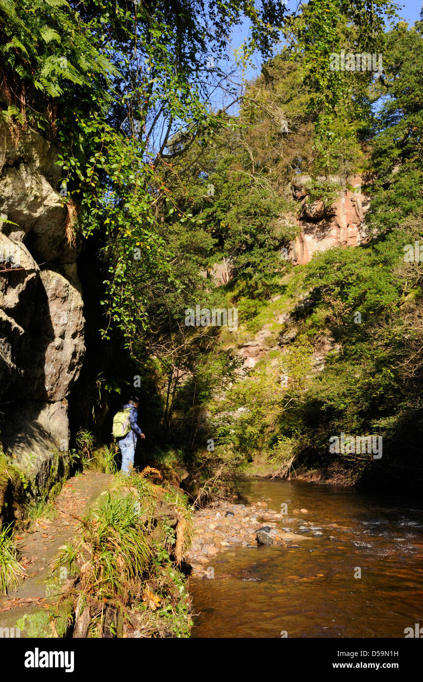 Gorge in Roslin Glen, Midlothian Stock Photo - Alamy
