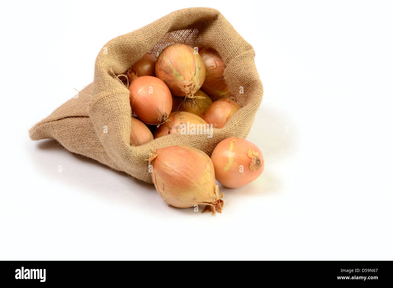 Fresh onions in a bag Stock Photo - Alamy