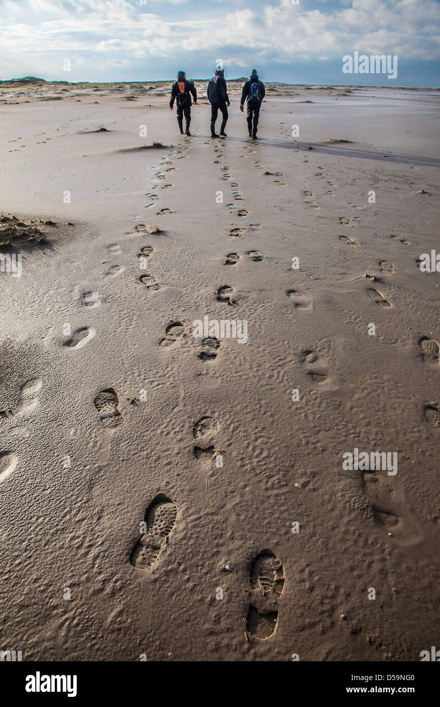 Beach and marshlands in winter time at the East Frisian North Sea ...