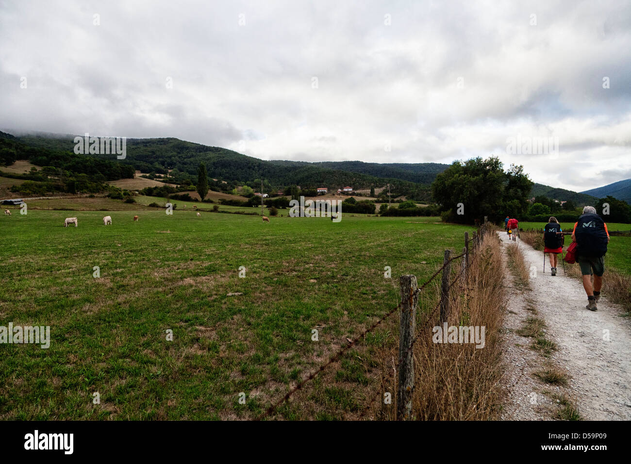 pilgrims walk the gravel route of the French Way of the Camino to ...