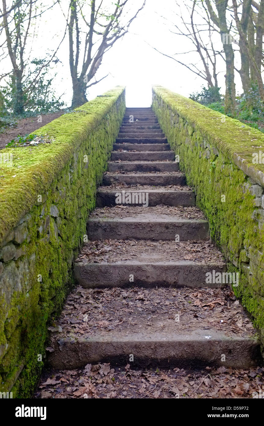 Steep stone steps hi-res stock photography and images - Alamy