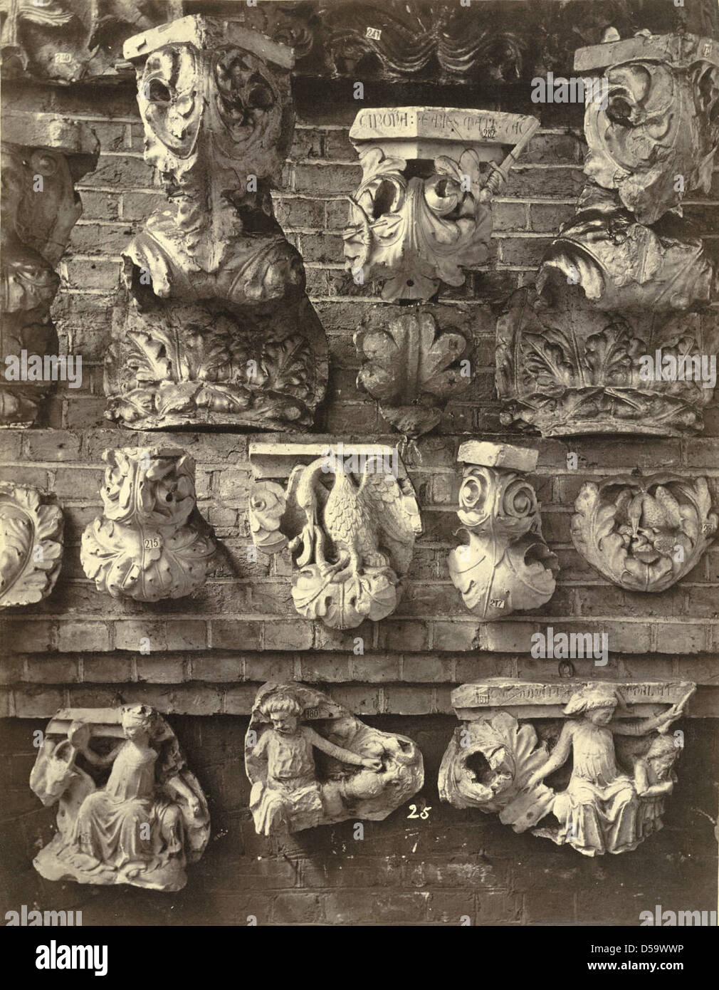 Plaster casts of architectural elements, such as capitals and plant ...