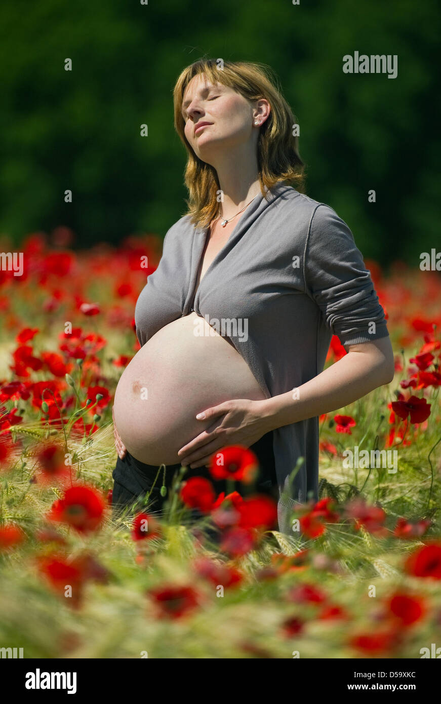 A woman well advanced in pregancy poses in a poppy field during a photo ...