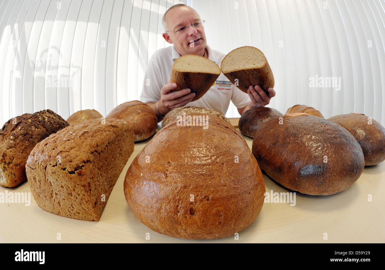 Quality assurance institute hi-res stock photography and images - Alamy