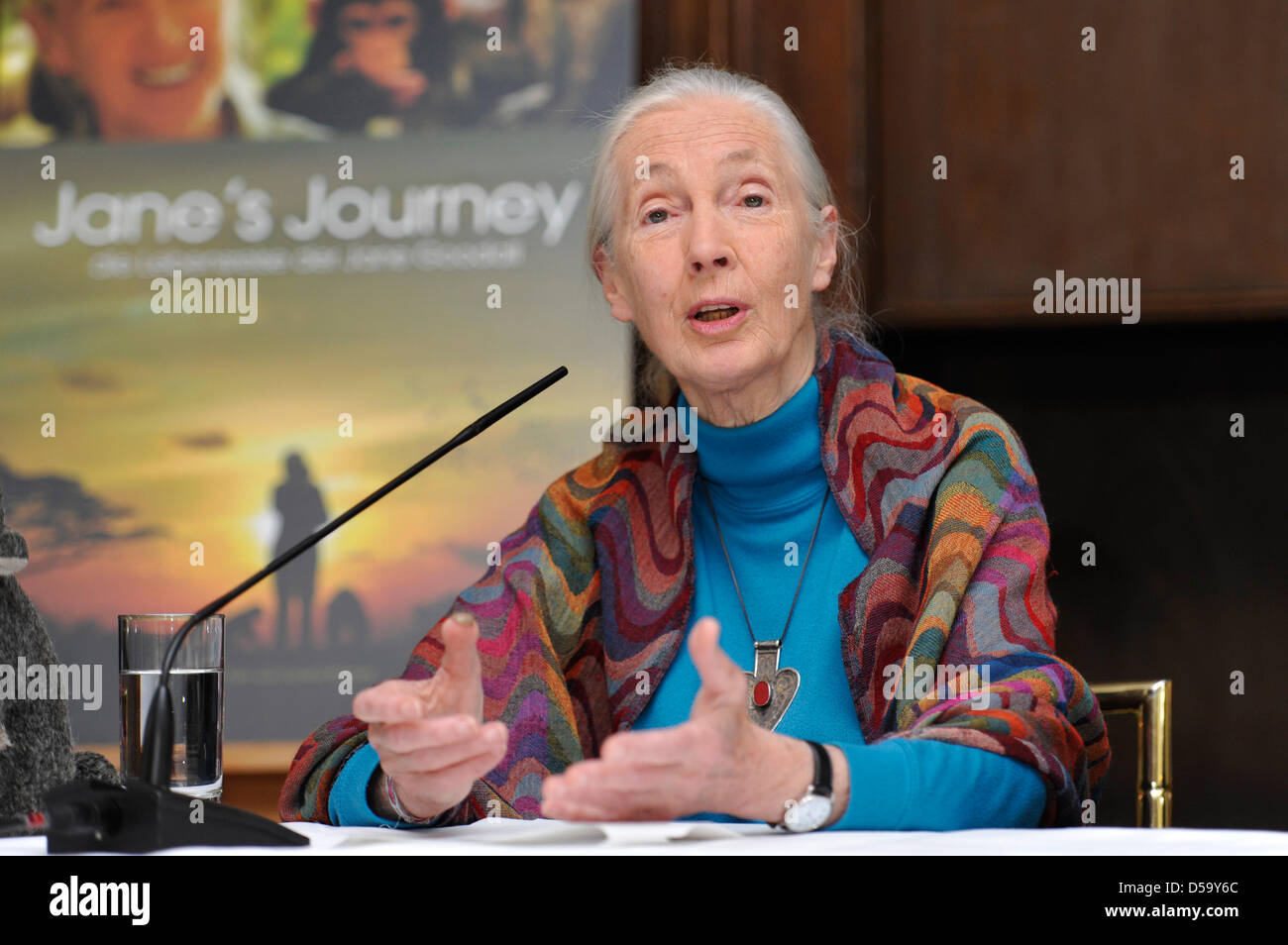 British primatologist and anthropologist Jane Goodall, captured at a ...