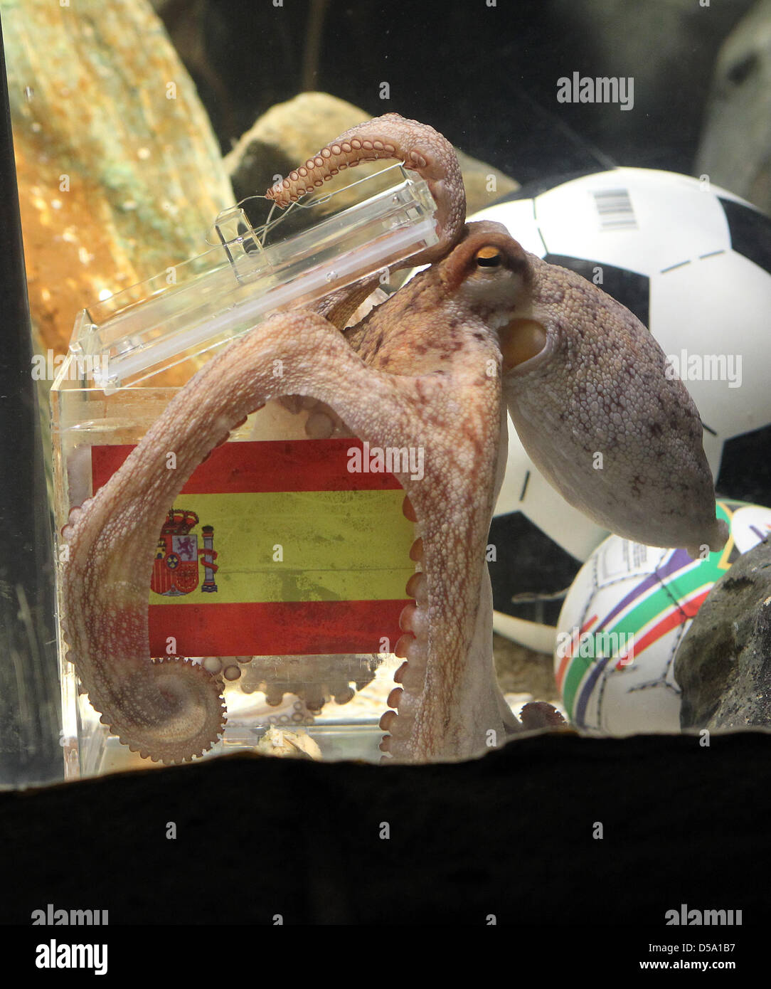 Wm orakel hi-res stock photography and images - Alamy