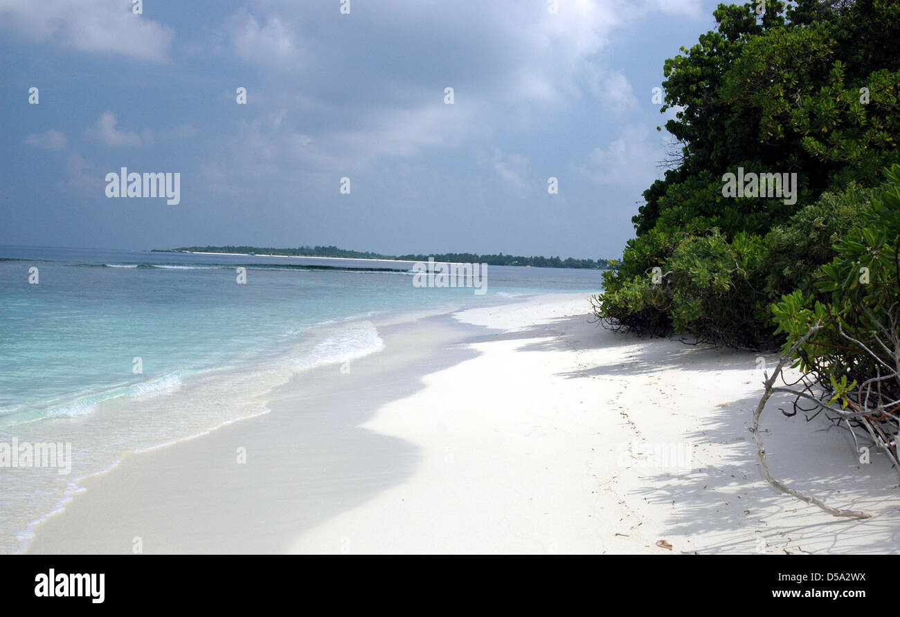 Tropical white sand beach in the Maldives Stock Photo - Alamy