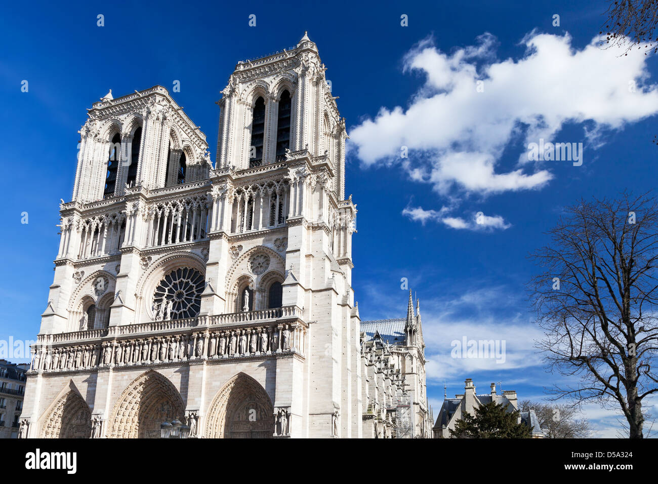 facade of Notre Dame de Paris at spring Stock Photo - Alamy