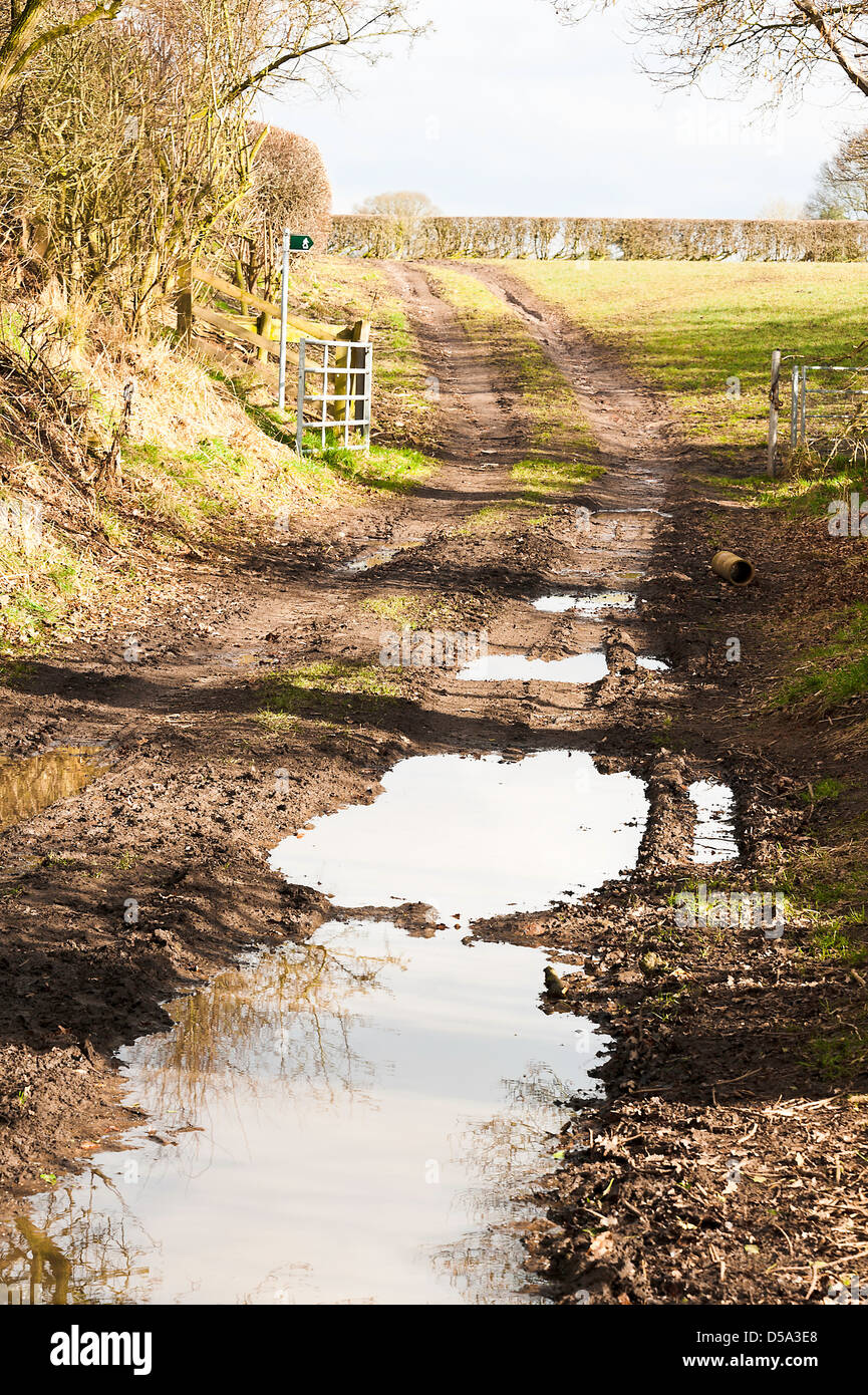 Waterlogged Public Footpath and Right of Way in Countryside near ...