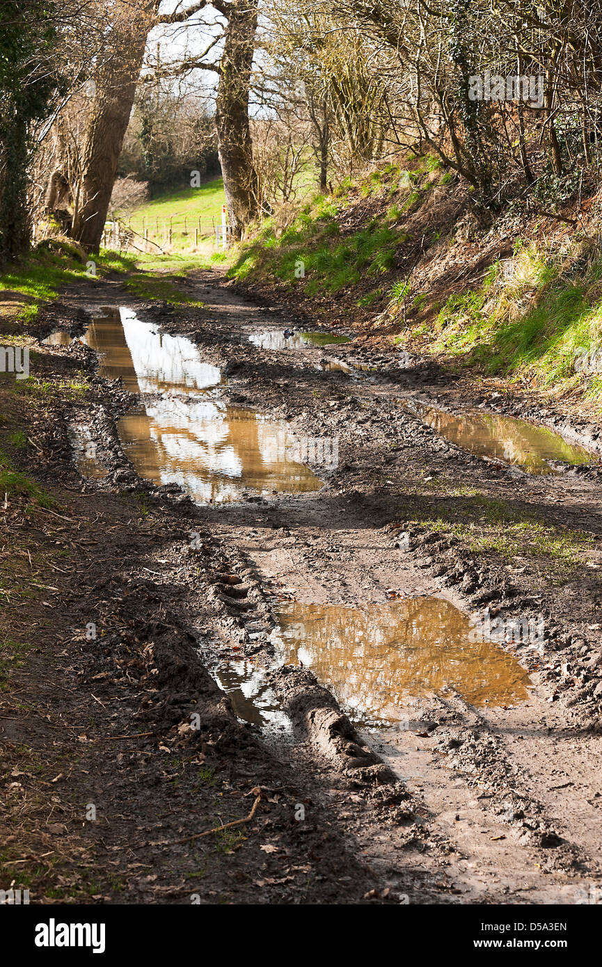 Waterlogged Public Footpath and Right of Way in Countryside near ...
