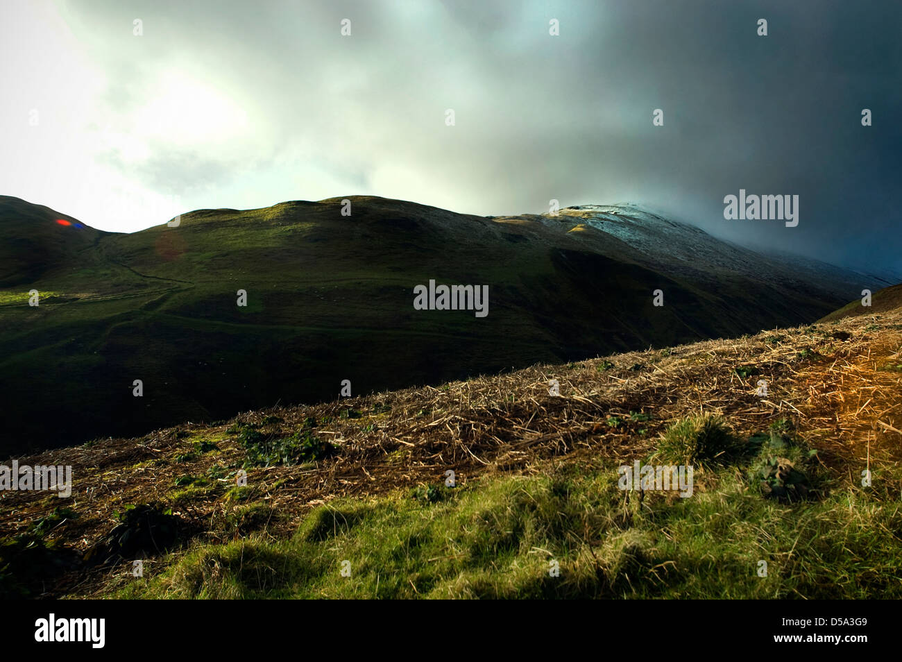 Ben Cleuch, Scotland Stock Photo - Alamy