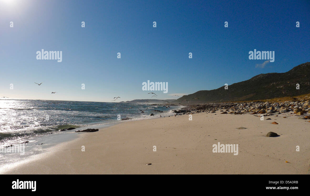 Lonely beach hi-res stock photography and images - Alamy