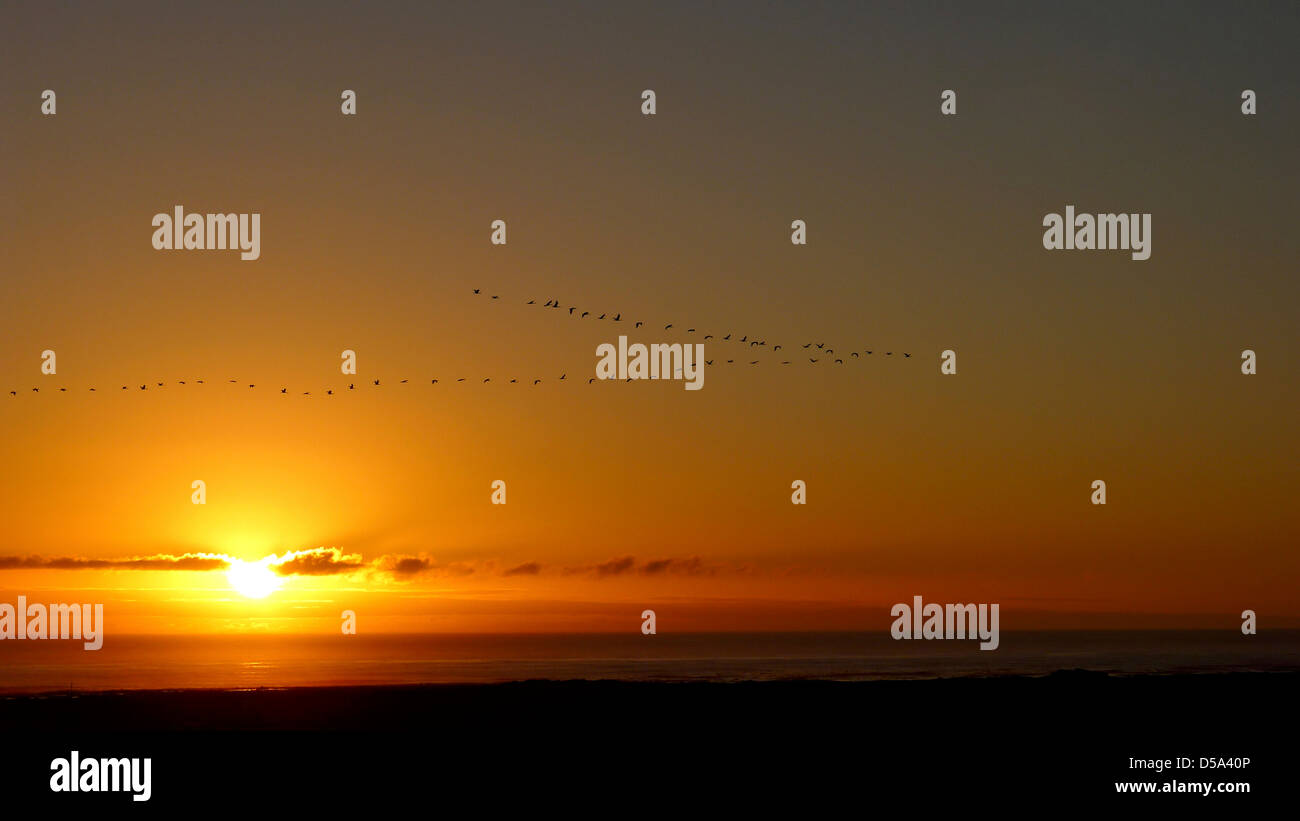 sunset at cape of good hope, south africa Stock Photo - Alamy