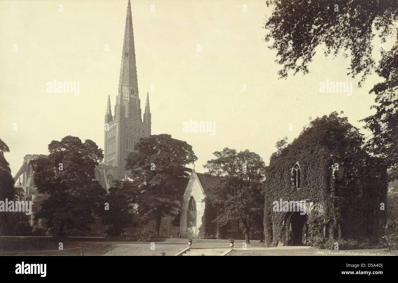 Old norwich library hi-res stock photography and images - Alamy