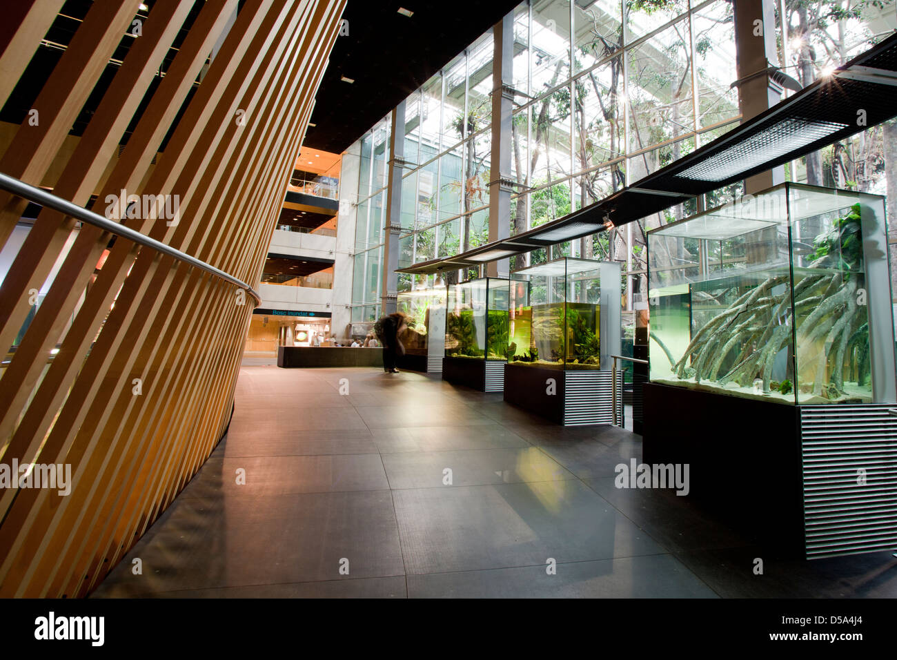 Cosmocaixa museum, Barcelona, Spain Stock Photo - Alamy