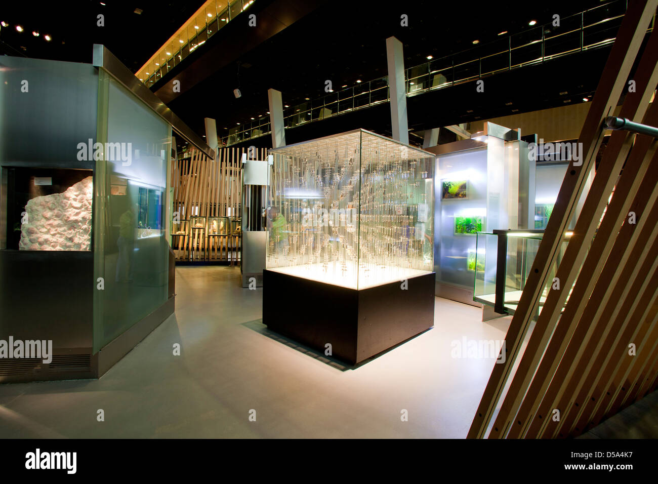 Cosmocaixa museum, Barcelona, Spain Stock Photo - Alamy