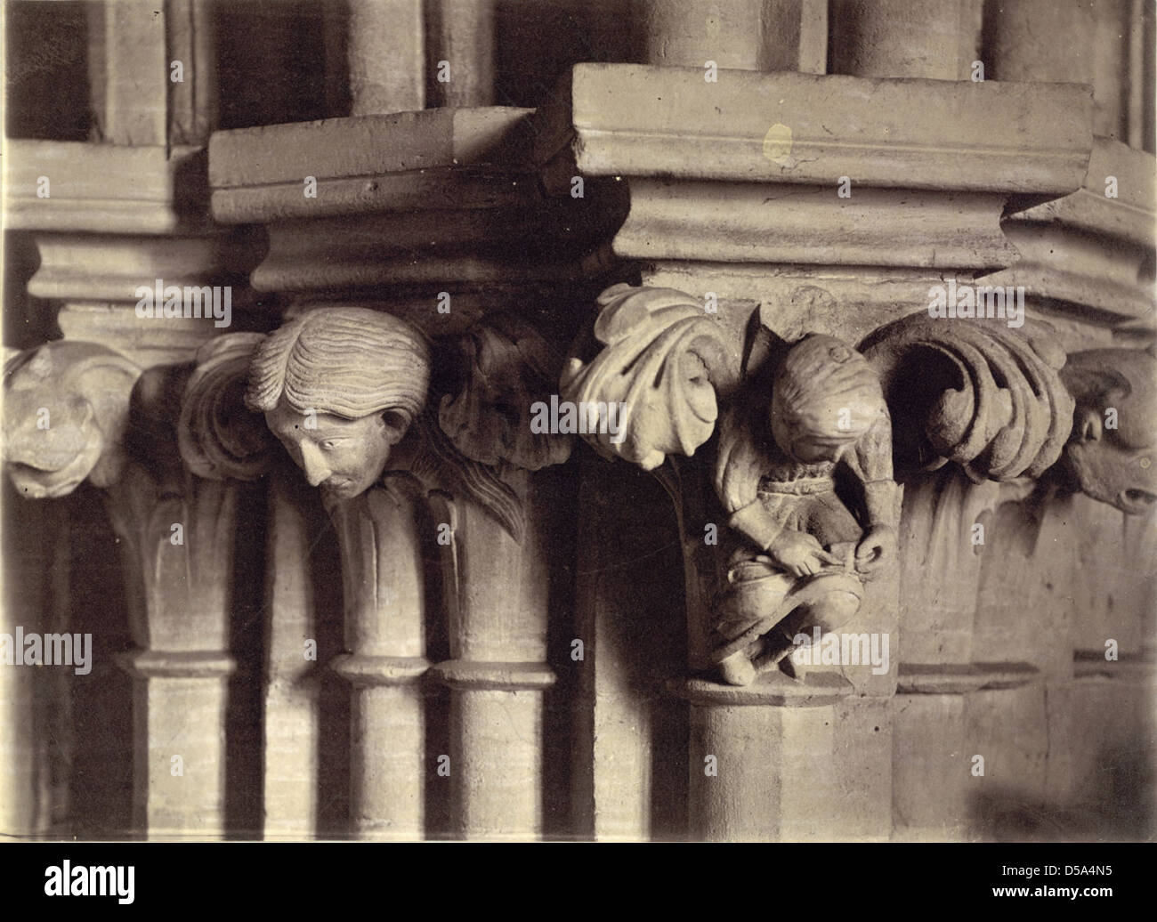 Grotesque creatures hi-res stock photography and images - Alamy