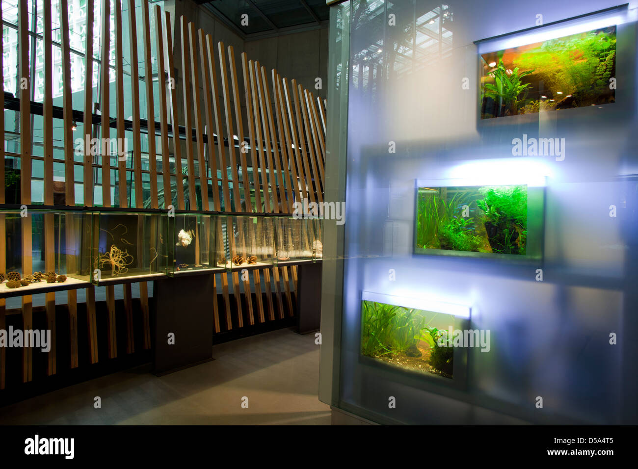 Cosmocaixa Science Museum High Resolution Stock Photography and Images ...