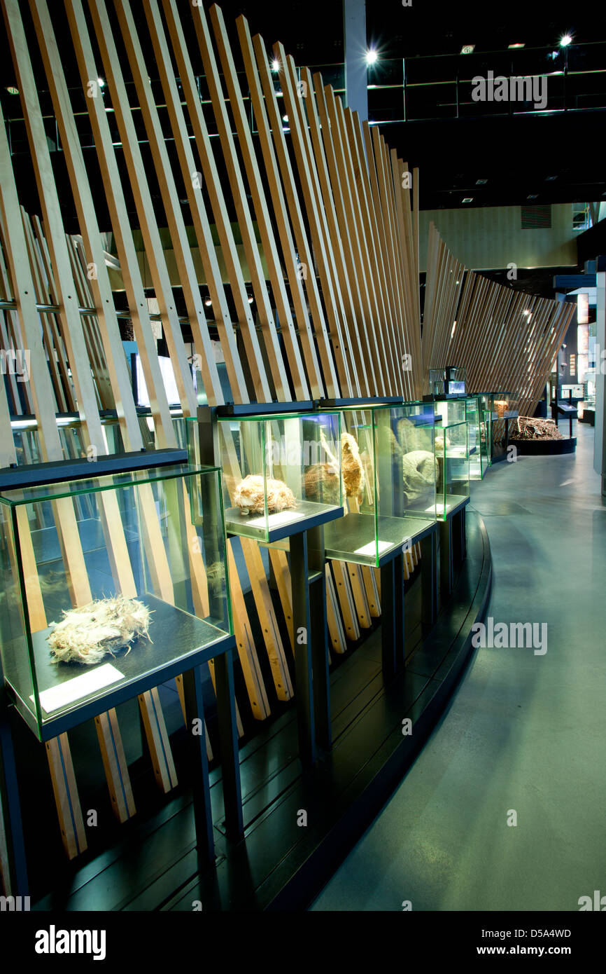 Cosmocaixa museum, Barcelona, Spain Stock Photo - Alamy